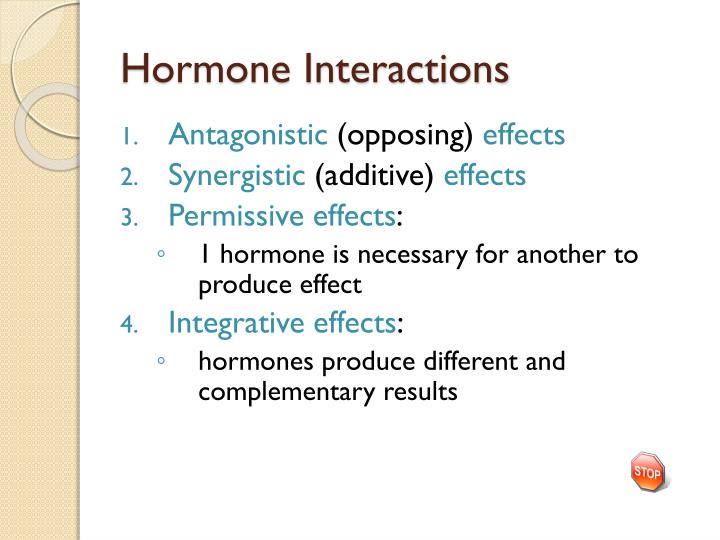 PPT - Chapter 18: The Endocrine System PowerPoint Presentation - ID:2033158