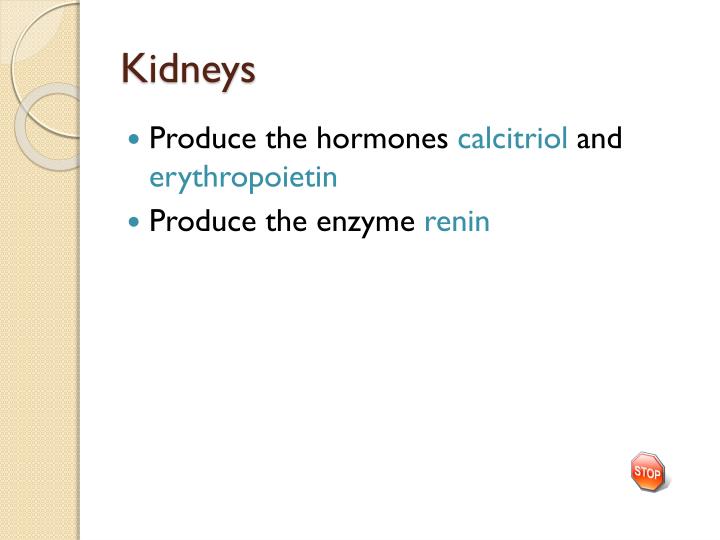 PPT - Chapter 18: The Endocrine System PowerPoint Presentation - ID:2033158