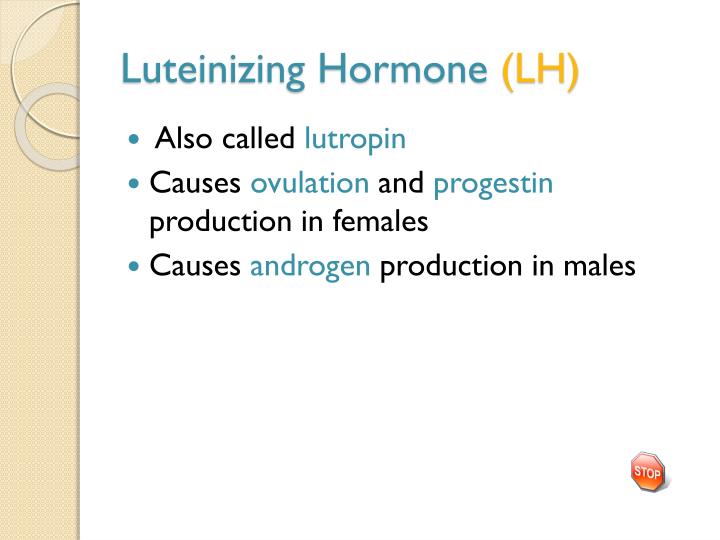PPT - Chapter 18: The Endocrine System PowerPoint Presentation - ID:2033158