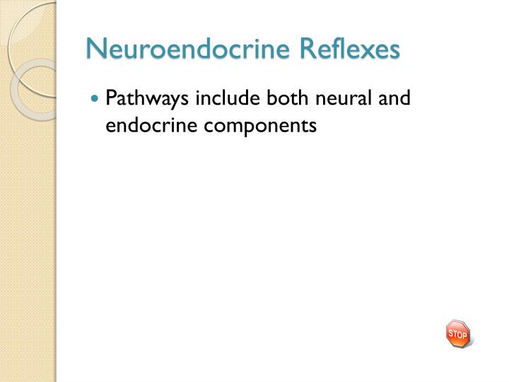 PPT - Chapter 18: The Endocrine System PowerPoint Presentation - ID:2033158