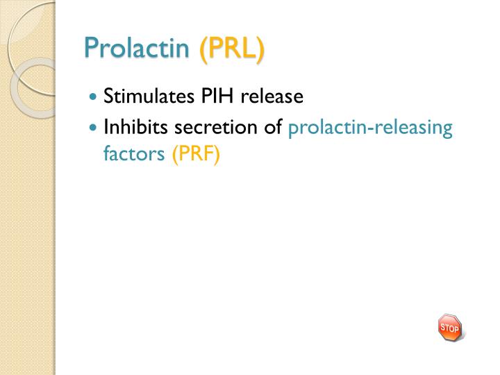 PPT - Chapter 18: The Endocrine System PowerPoint Presentation - ID:2033158