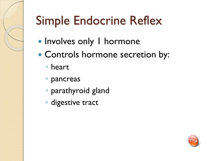 PPT - Chapter 18: The Endocrine System PowerPoint Presentation - ID:2033158