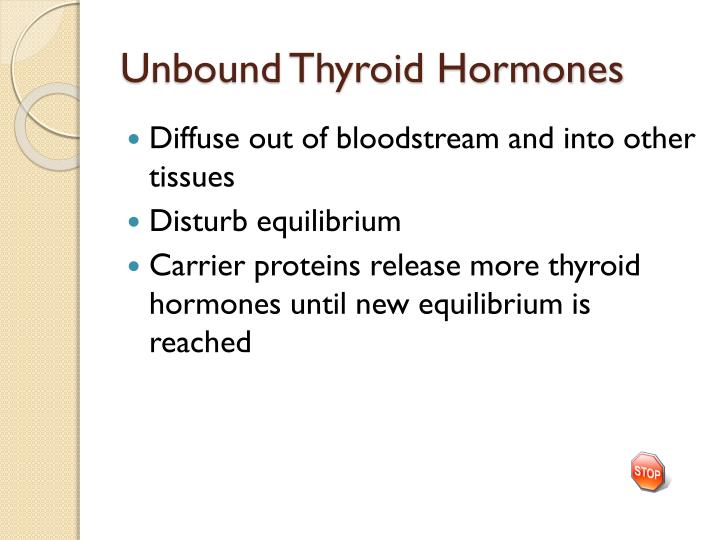PPT - Chapter 18: The Endocrine System PowerPoint Presentation - ID:2033158