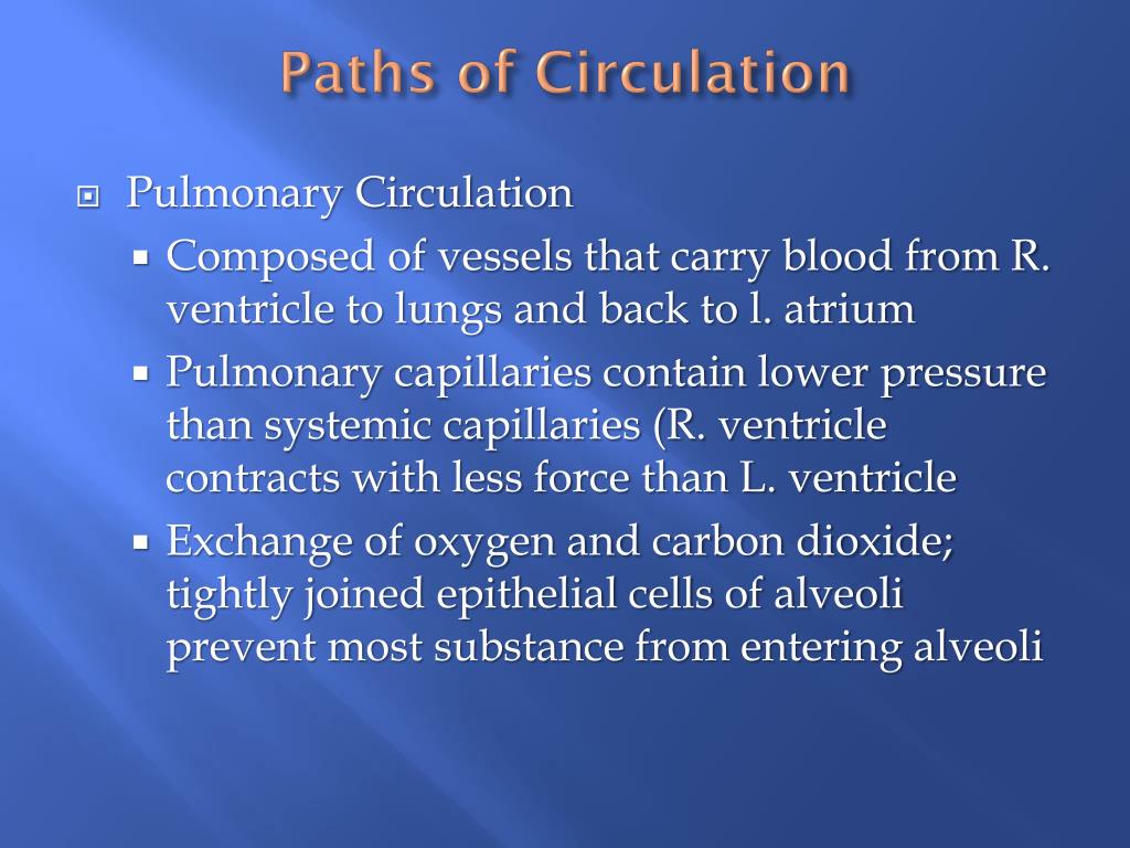 PPT - Circulatory System Provides O 2 and nutrients to all body cells ...