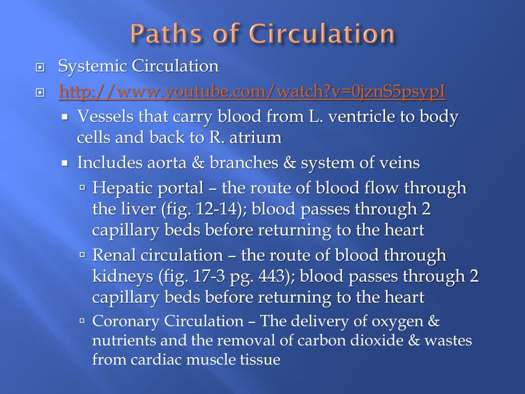 PPT - Circulatory System Provides O 2 and nutrients to all body cells ...