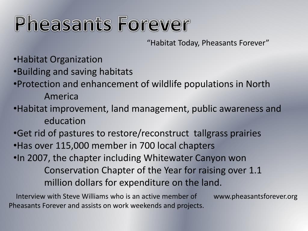 PPT - Michael Place Jordan Ries Mike Carey Patricia Klauer Grace Morin ...