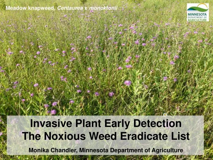 PPT - Invasive Plant Early Detection The Noxious Weed Eradicate List ...