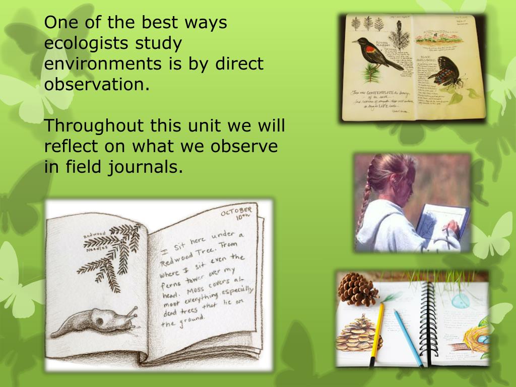 PPT - “Connected Planet” Interdependence of Plants and Animals Mr ...