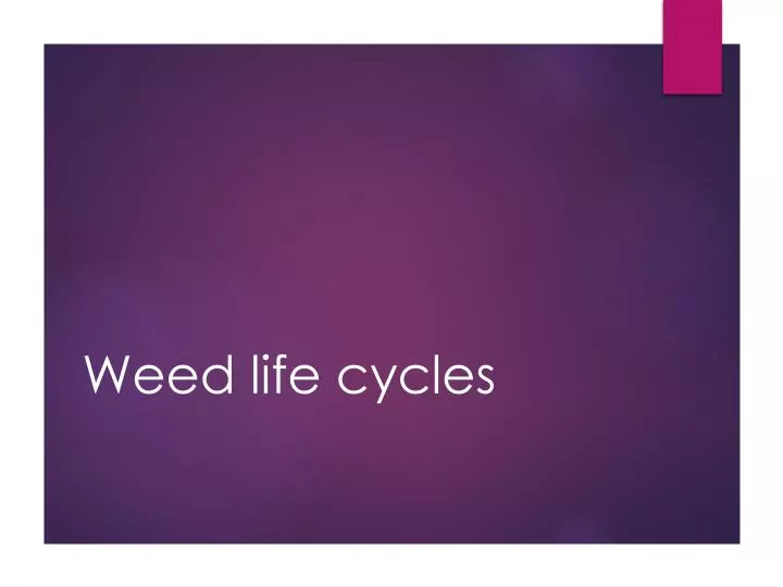 PPT - Weed life cycles PowerPoint Presentation, free download - ID:2034209