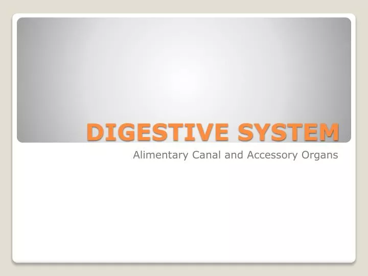 PPT - DIGESTIVE SYSTEM PowerPoint Presentation, free download - ID:2034322
