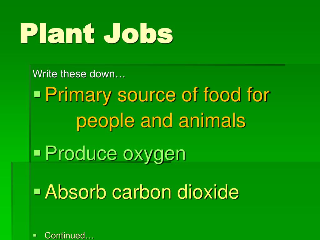 PPT - Plant Parts & Their Jobs PowerPoint Presentation, free download ...