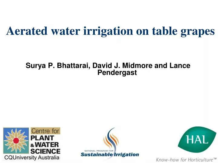PPT - Aerated water irrigation on table grapes PowerPoint Presentation ...