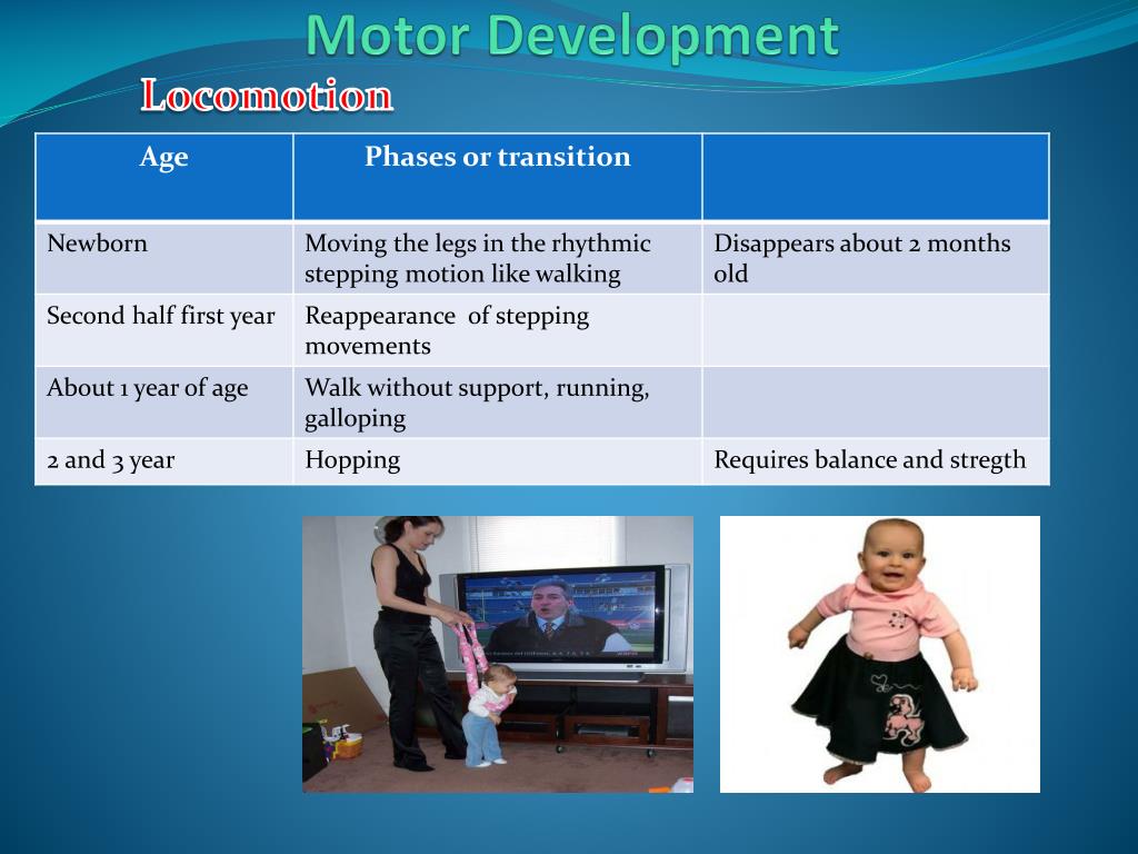 PPT - The Child’s Growth : Brain, Body, Motor Skills, and Sexual ...