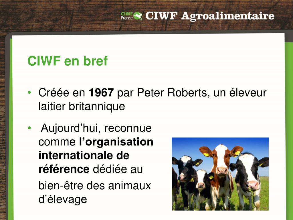 PPT - Présentation de CIWF Agroalimentaire Travailler avec l ...