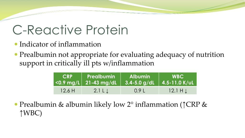 PPT - Nutrition Therapy for Paralytic Ileus PowerPoint Presentation ...