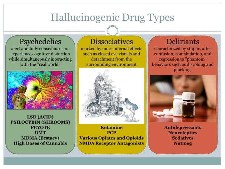 PPT - Hallucinations PowerPoint Presentation - ID:2035764