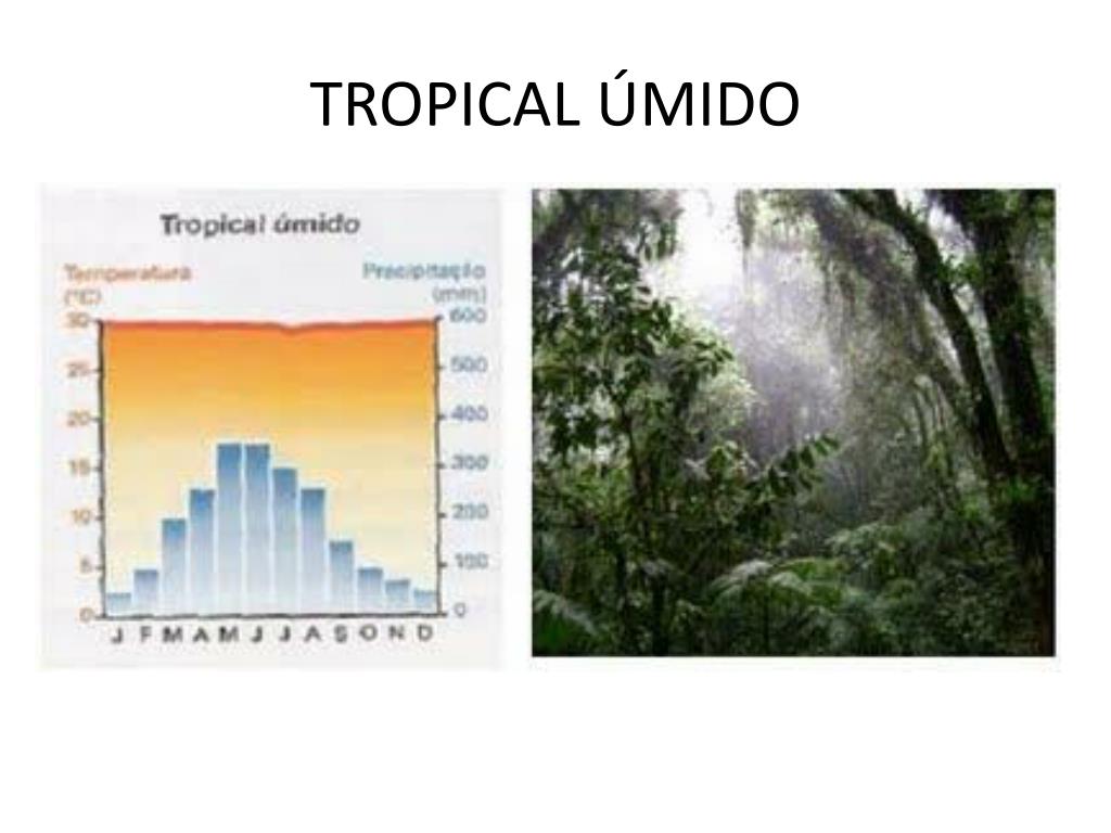 PPT - A DINÂMICA CLIMÁTICA PowerPoint Presentation, free download - ID ...