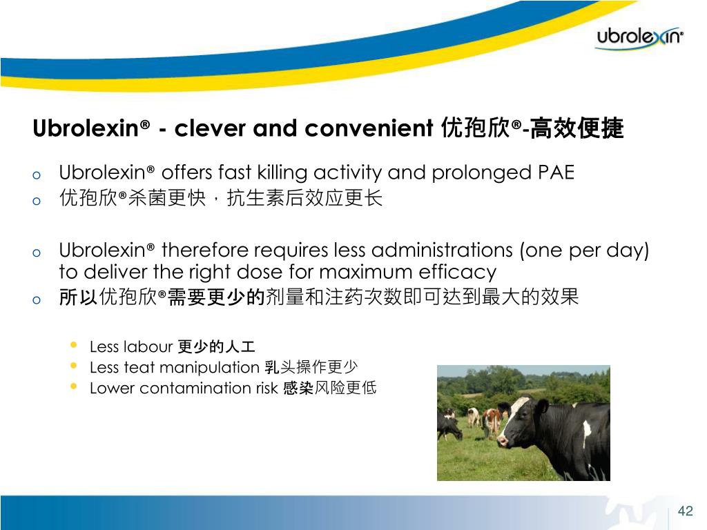 PPT - 21 st Century Mastitis Treatment 21 世纪乳房炎治疗 PowerPoint ...