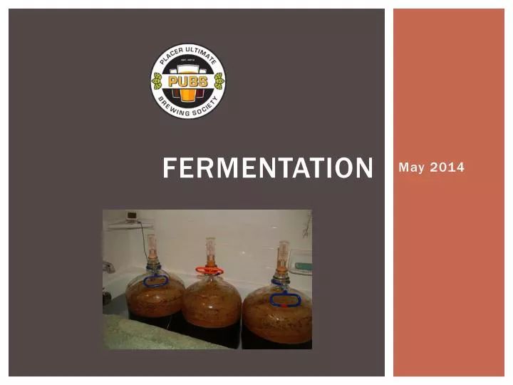 PPT - FERMENTATION PowerPoint Presentation, free download - ID:2036046
