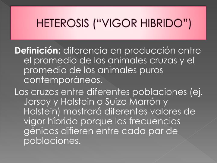 PPT - CRUZAMIENTOS EN EL GANADO LECHERO PowerPoint Presentation - ID ...