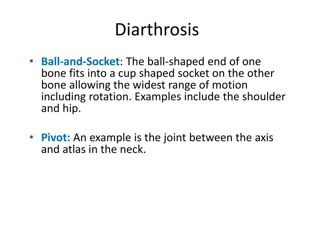 PPT - Care of the Patient with a Musculoskeletal Disorder PN 135 ...