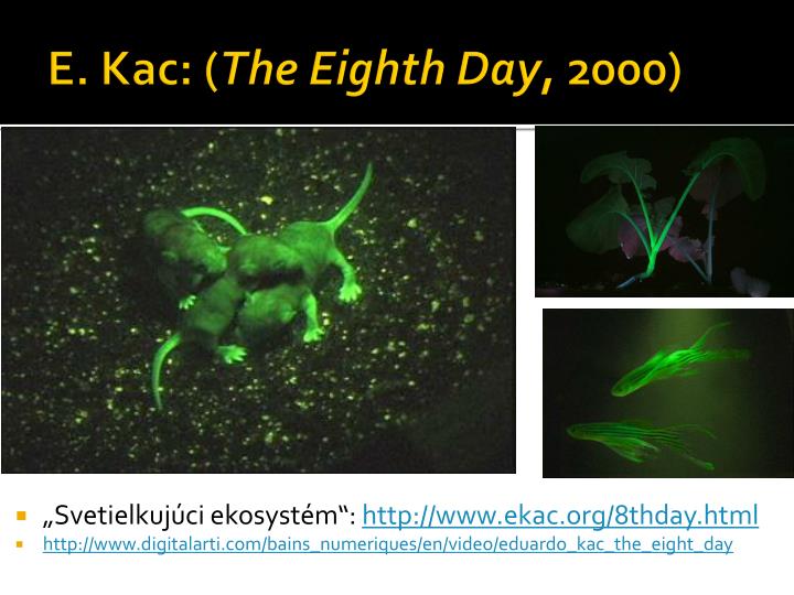 PPT - BIOART PowerPoint Presentation - ID:2036671