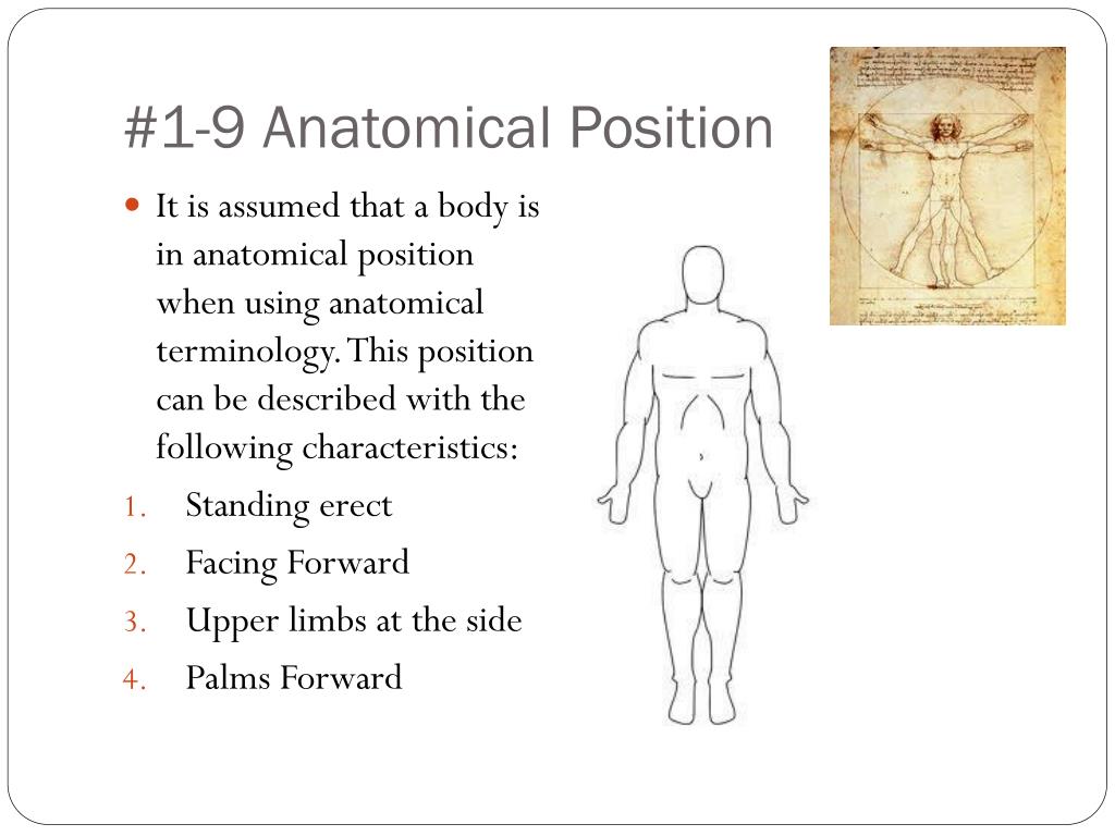 PPT Anatomy Physiology PowerPoint Presentation Free Download ID 