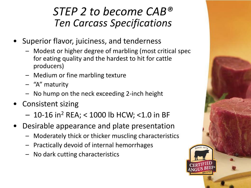 PPT - CAB® and the High Quality Beef Market Certified Angus Beef LLC ...