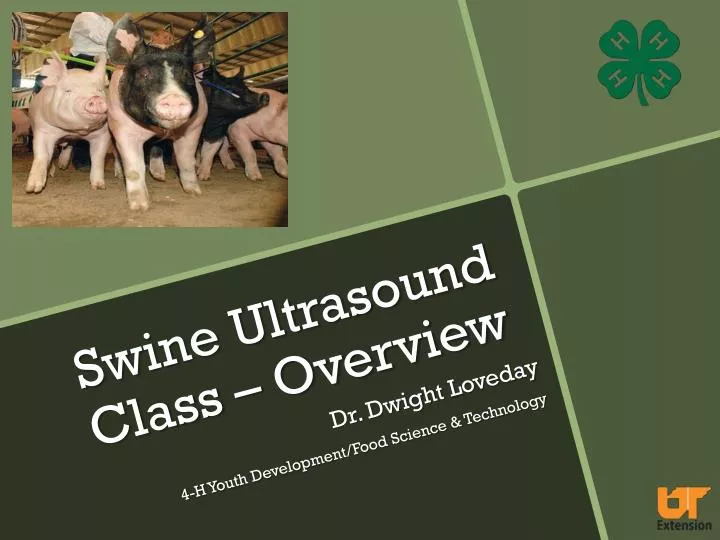 PPT - Swine Ultrasound Class – Overview PowerPoint Presentation, free ...