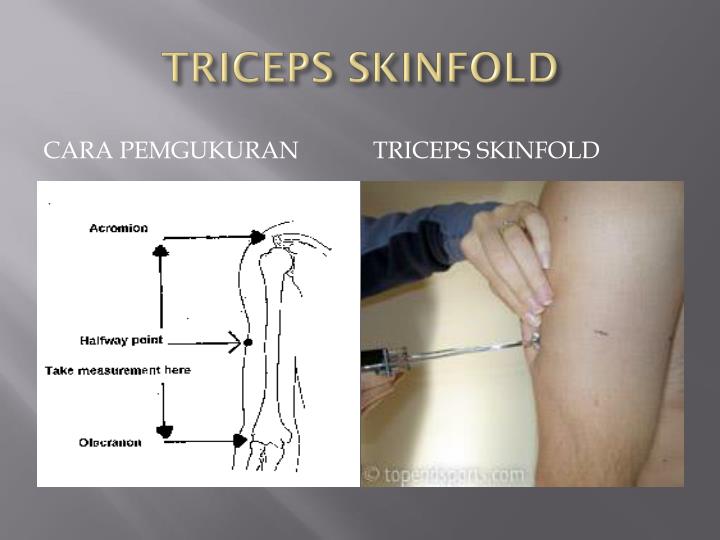 PPT - STANDAR ANTROPOMETRI PowerPoint Presentation - ID:2037868