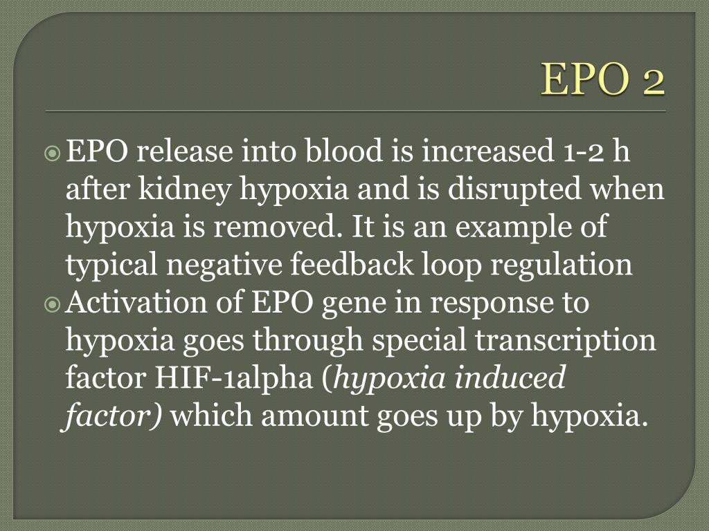 PPT - Blood Physiology 2 September 2004 PowerPoint Presentation, free ...