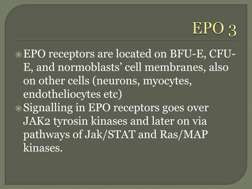PPT - Blood Physiology 2 September 2004 PowerPoint Presentation, free ...