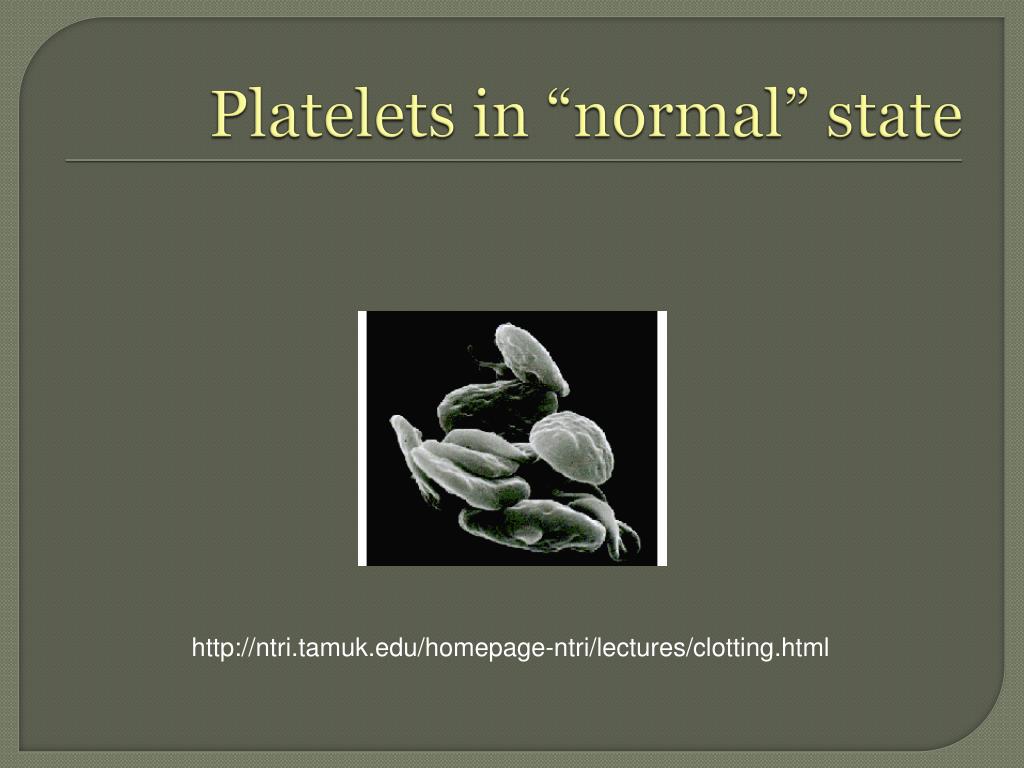 PPT - Blood Physiology 2 September 2004 PowerPoint Presentation, free ...