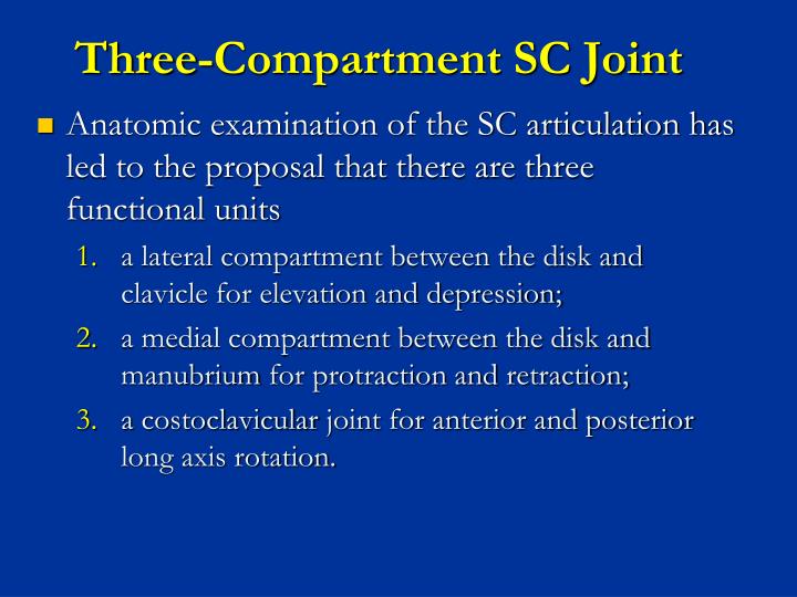 PPT - What is the Shoulder girdle? PowerPoint Presentation - ID:2038334