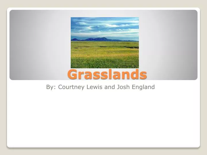 PPT - Grasslands PowerPoint Presentation, free download - ID:2038480