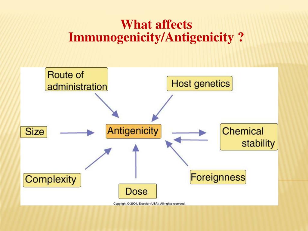 PPT - Faculty of Allied Medical Sciences Clinical Immunology & Serology ...