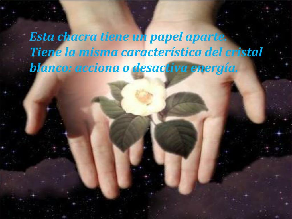 PPT - APRENDICES DE LA LUZ EL CHACRA DE LAS MANOS PowerPoint ...