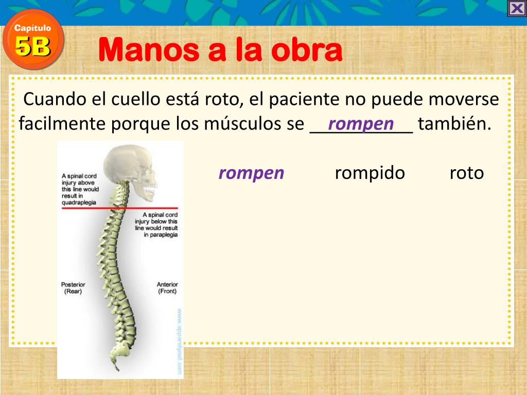 PPT - Repaso del vocabulario PowerPoint Presentation, free download ...