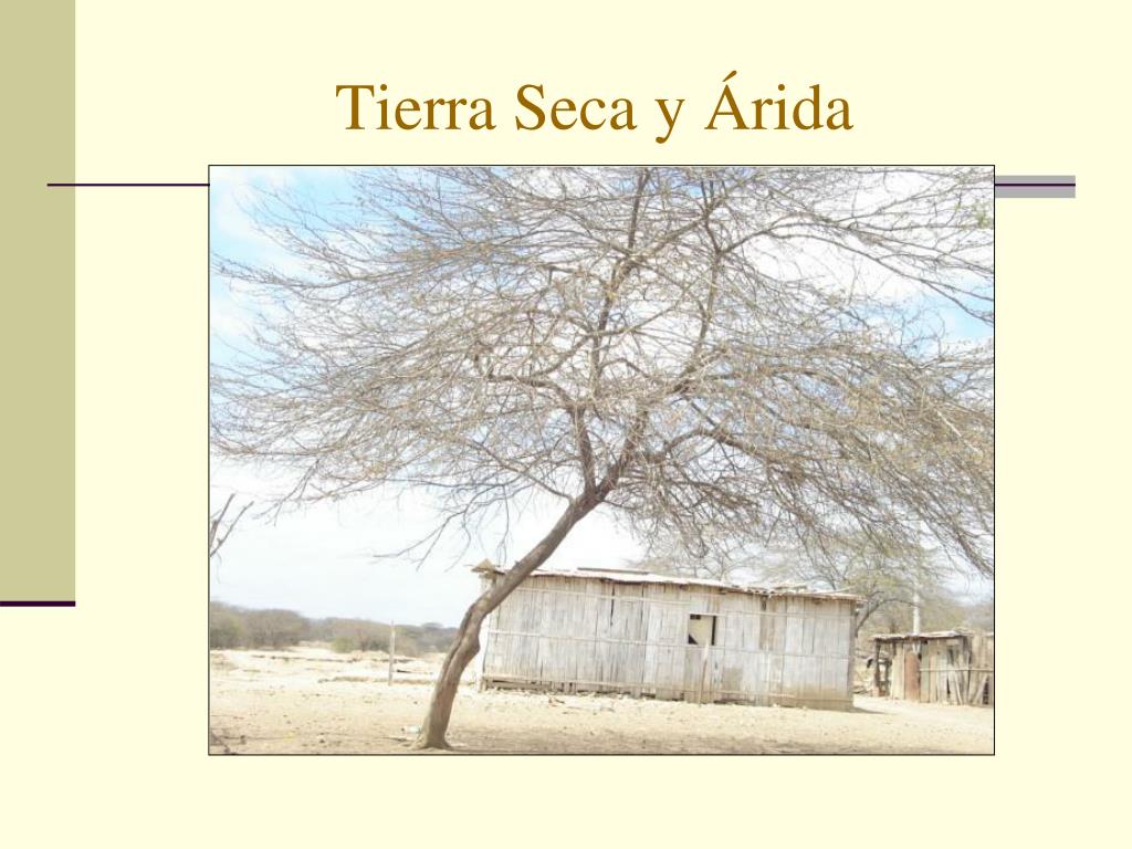 PPT - ESCUELA SUPERIOR POLITÉCNICA DEL LITORAL NSTITUTO DE CIENCIAS ...