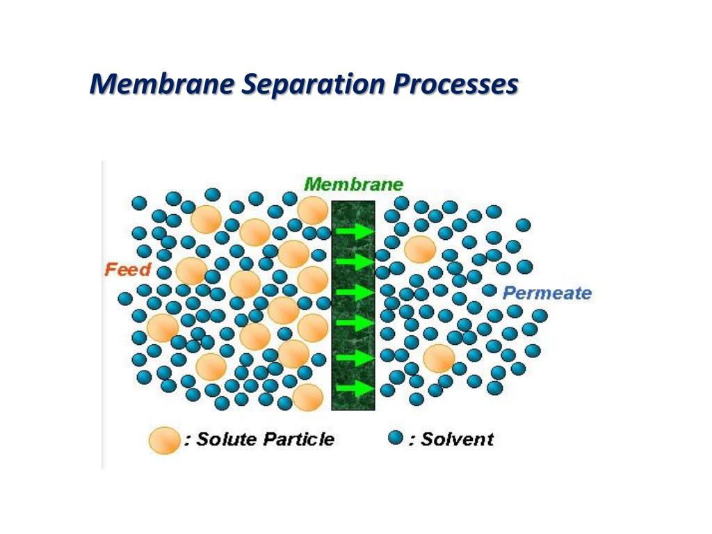 A Detailed Representation Of Membrane Separation Proc - vrogue.co A Detailed Representation Of Membrane Separation Proc - vrogue.co