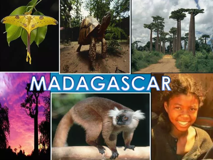 PPT - MADAGASCAR PowerPoint Presentation, free download - ID:2039827