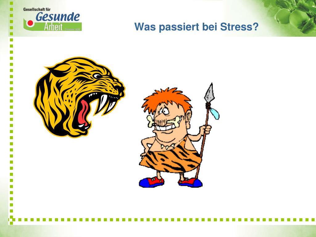 PPT - „Mit dem Tiger kämpfen“ – Stress und Burnout in modernen Zeiten ...