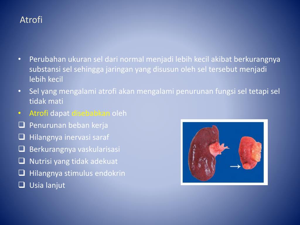 PPT - Pendahuluan dan Kontrak Belajar Patology Kesehatan Masyarakat ...