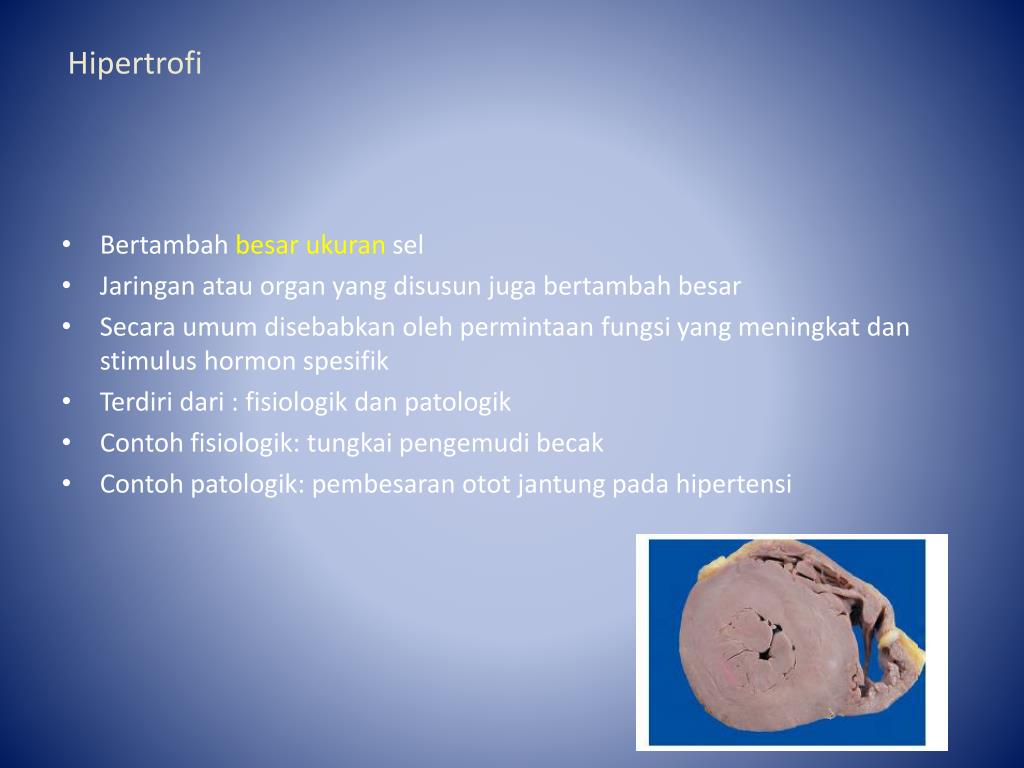 PPT - Pendahuluan dan Kontrak Belajar Patology Kesehatan Masyarakat ...
