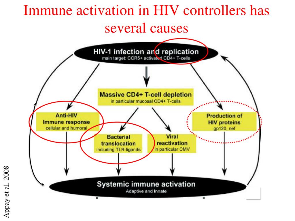 PPT - International guidelines for anti-retroviral treatment PowerPoint ...