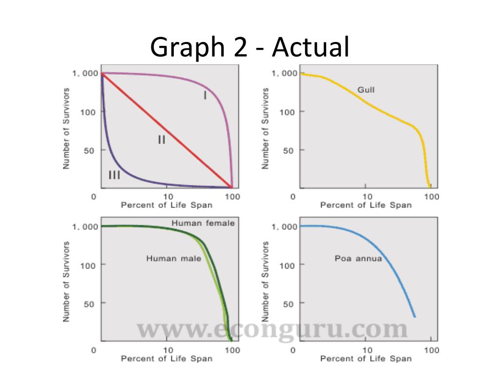 PPT - Human Population, Population Dynamics & Environmental Impact ...
