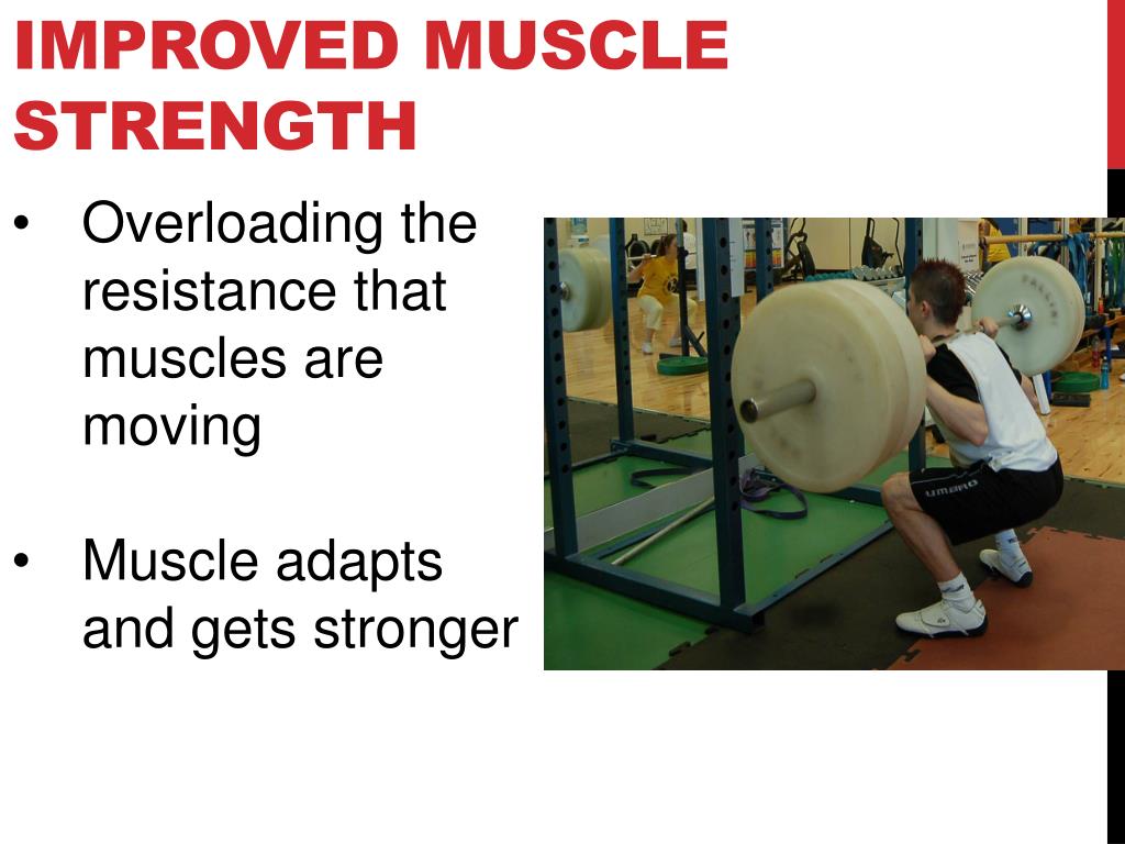 PPT - Musculoskeletal & energy systems Long term effects of exercise ...