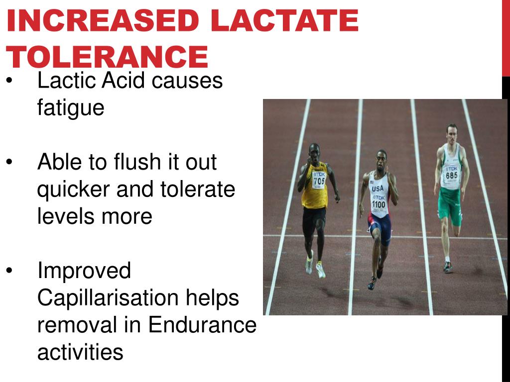 PPT - Musculoskeletal & energy systems Long term effects of exercise ...