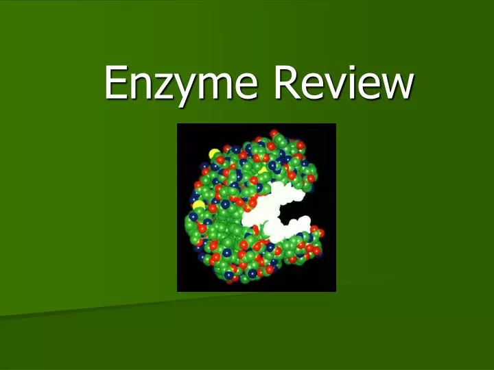 PPT - Enzyme Review PowerPoint Presentation, free download - ID:2040990