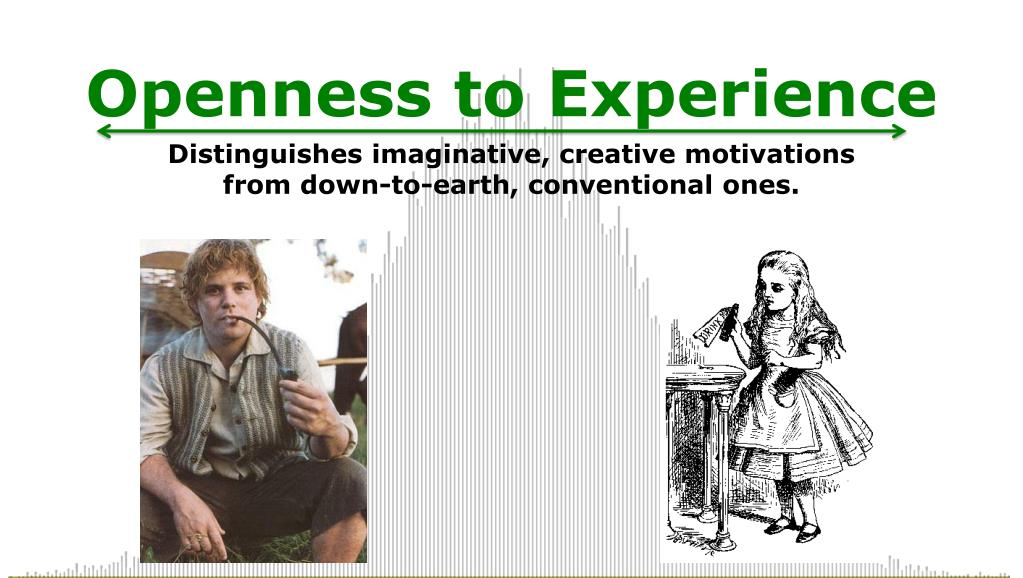 PPT - The 5 Domains of Play Motivational Ergonomics Jason VandenBerghe ...